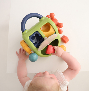 Bio Activity Shape Box - Tolo Bio - Products - Tolo Toys | Award ...