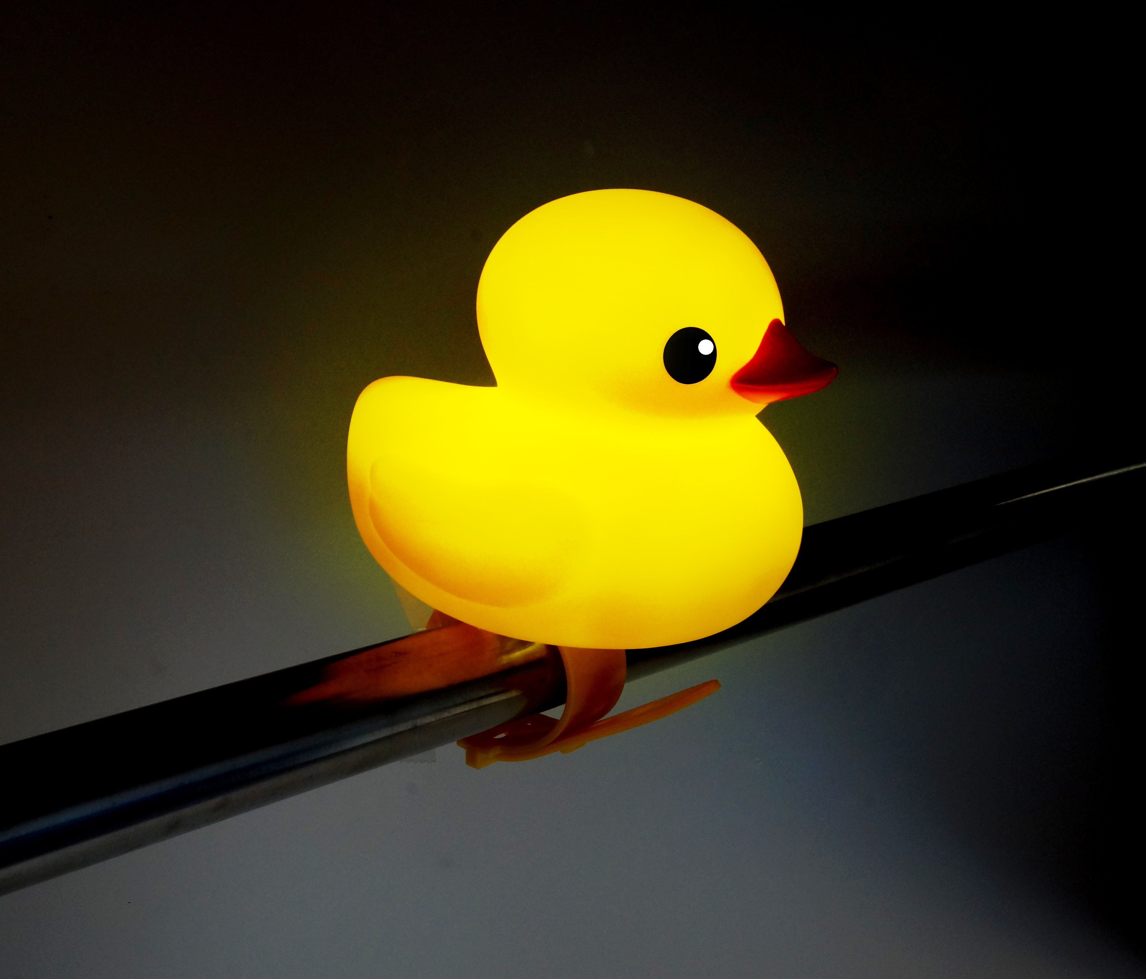 Light-up Duck - Products - Tolo Toys | Award winning educational toys ...